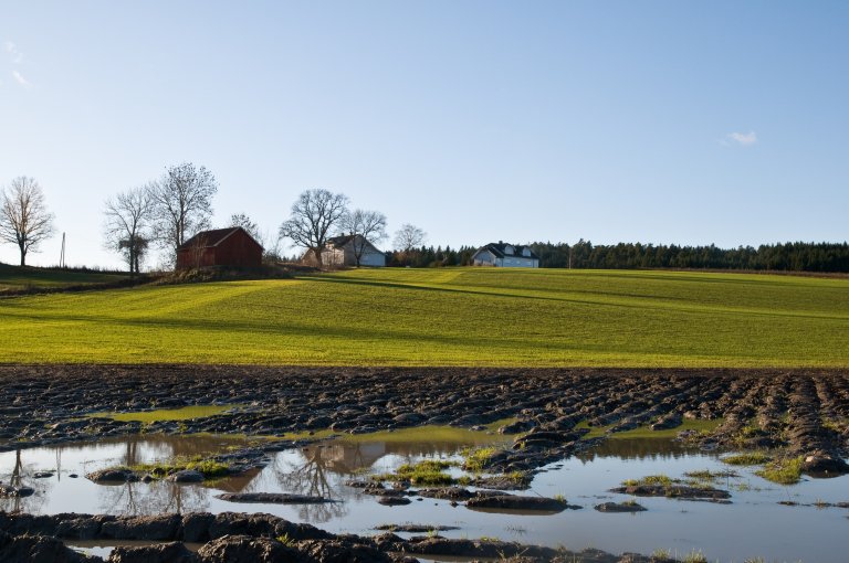 Jordbrukets vannmiljøinnsats i Oslofjordfylkene trappes opp - Landbruksdirektoratet